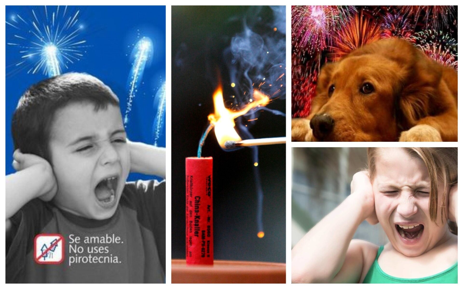 Pirotecnia cero: en estas fiestas digámosle ‘no’ a la contaminación ...